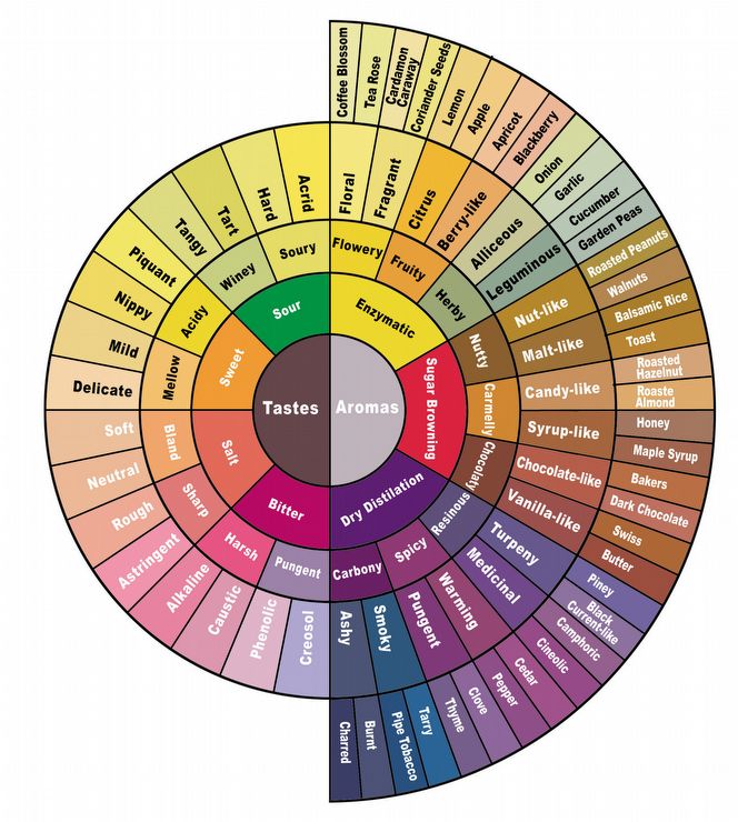 SCAA's New Coffee Flavour Wheel - Coffee Magazine