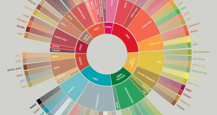 How to use the Coffee Taster's Flavour Wheel - Coffee Magazine